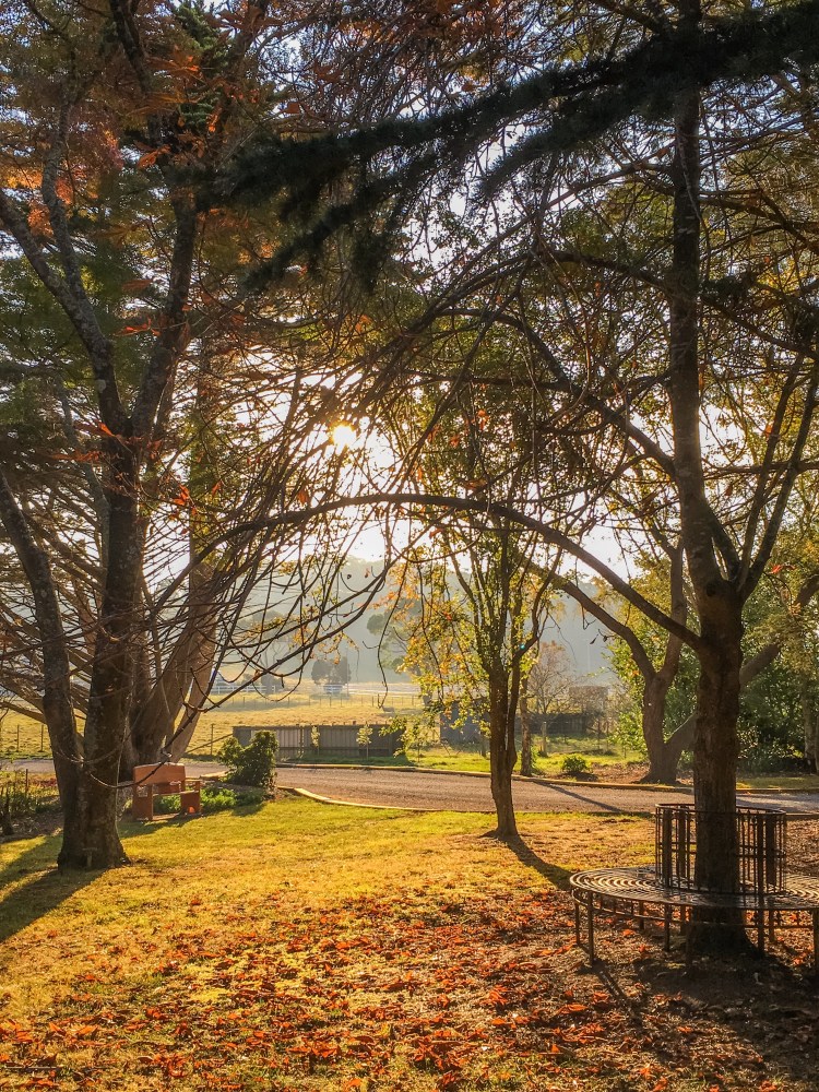 5 Reasons To Make Your Next Trip A Nature Vacation – Yours Naturely